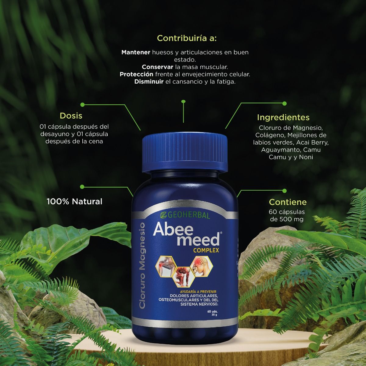 Cloruro de Magnesio Abee Meed Frasco 60 Cápsulas + pomada - Pack 2 UN ...